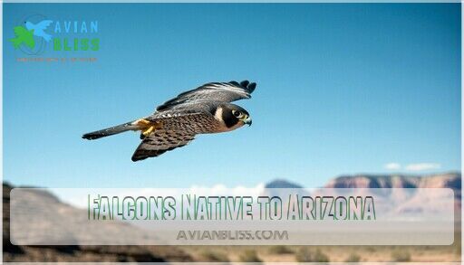 Arizona Birds of Prey: 23 Magnificent Raptors (With Pictures!)