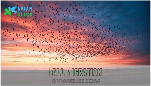 Best Time Bird Migration: Peak Seasons & Expert Timing Guide 2025