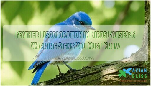 Feather Discoloration in Birds Causes: 6 Warning Signs You Must Know