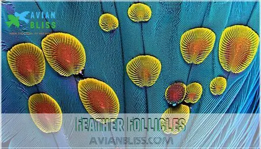 Feather Discoloration in Birds Causes: 6 Warning Signs You Must Know