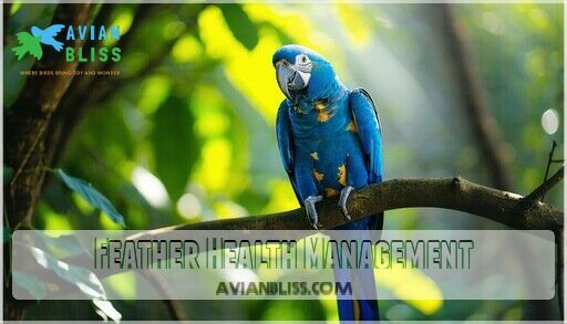 Feather Discoloration in Birds Causes: 6 Warning Signs You Must Know