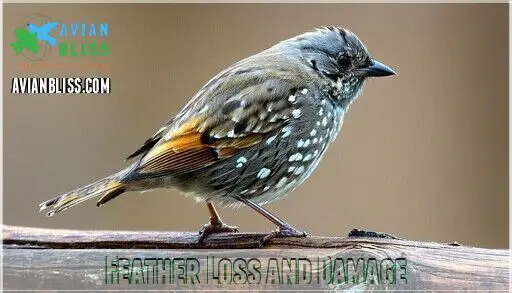 Controlling Feather Mites on Birds: Proven Treatment & Prevention Tips