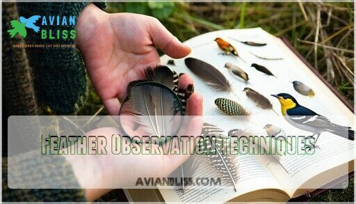 Identify Birds by Feather Patterns: Master Bird ID Like a Pro Expert