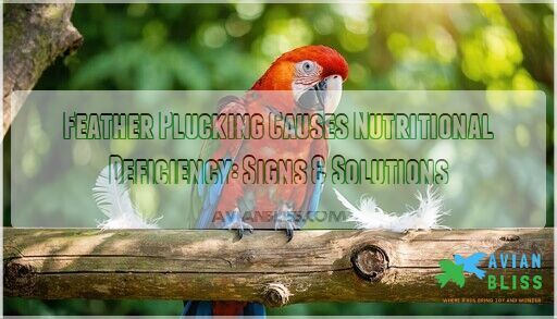 Feather Plucking Causes Nutritional Deficiency: Signs & Solutions