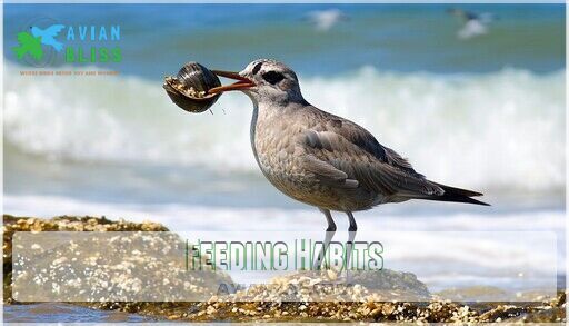 White Water Birds: 25 Beautiful Species You Need to See (2025 Guide)