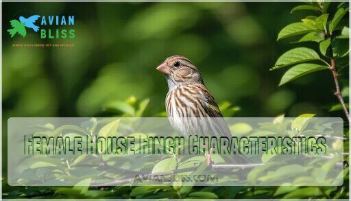 Red Birds in North Carolina: 8 Species Guide (With Photos)