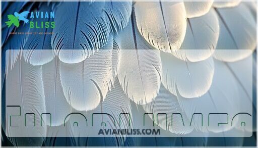 Identify Birds by Feather Patterns: Master Bird ID Like a Pro Expert