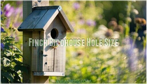 What Size Hole Birdhouse: Complete Species Guide & Chart 2025