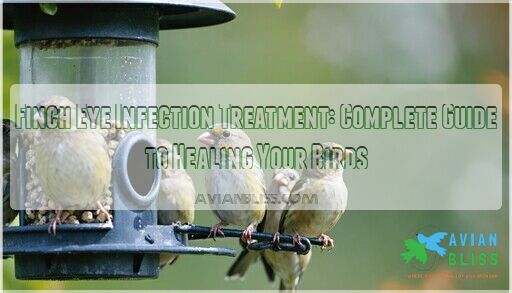 Finch Eye Infection Treatment: Complete Guide to Healing Your Birds