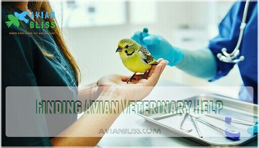 Avian Vet for Bird Injury: Emergency Care Guide When Birds Need Help