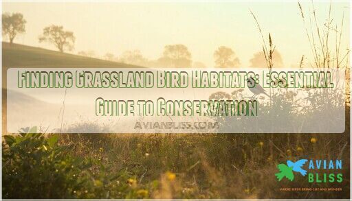 Finding Grassland Bird Habitats: Essential Guide to Conservation