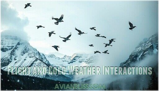 Do Birds Get Cold? 7 Amazing Ways They Survive Freezing Weather