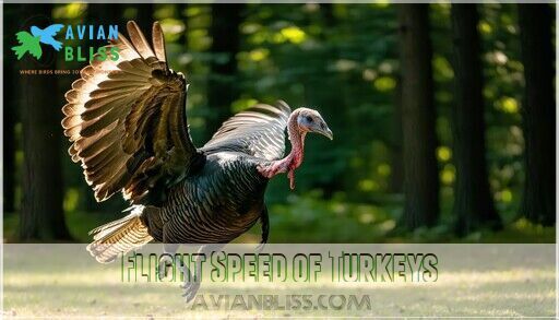 How Fast Can a Spooked Turkey Run? Surprising Speed Facts Revealed