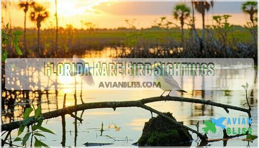 Rare Bird Sightings Information: Expert Alerts & Tracking Tips 2025