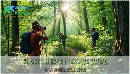 Bird Watching Forest Preserves: Virginia's Best Birding Spots 2025