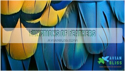 Healthy Feathers in Pet Birds: 5 Essential Care Tips That Work