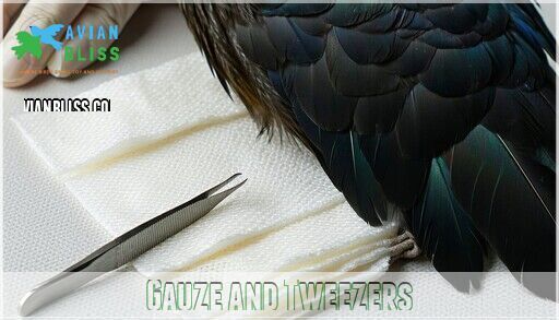 Bird Bleeding Wing Treatment: Emergency First Aid Steps That Save Lives