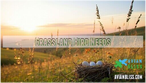 Finding Grassland Bird Habitats: Essential Guide to Conservation