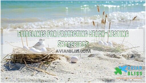 Shore Birds in Florida: Complete ID Guide With Photos & Tips