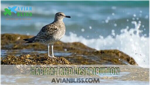White Water Birds: 25 Beautiful Species You Need to See (2025 Guide)
