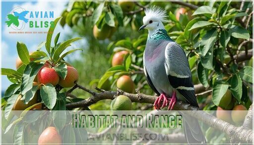 Pacific Loon: Complete Guide to ID, Habitat, Behavior & Conservation