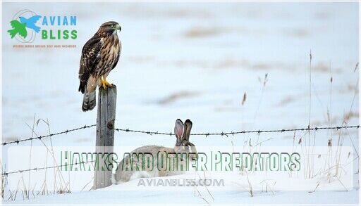 Do Hawks Eat Dead Animals? You Won't Believe This!