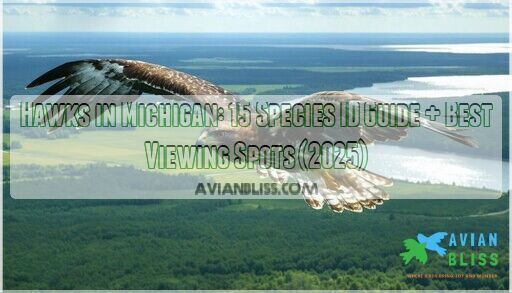 Hawks in Michigan: 15 Species ID Guide + Best Viewing Spots (2025)