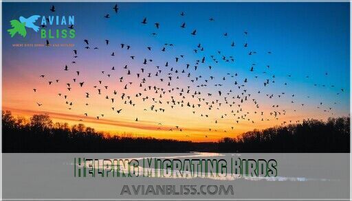 Bird Migration Routes Explained: Complete Guide to Flyways & Patterns