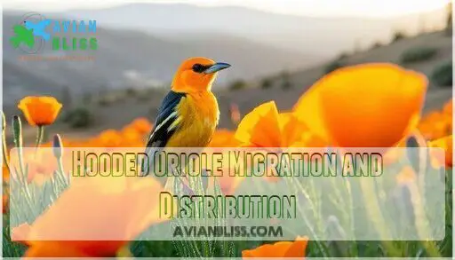 Oriole Birds in California: Attract & Identify These Stunning Species