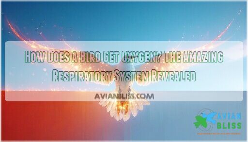 How Does a Bird Get Oxygen? The Amazing Respiratory System Revealed