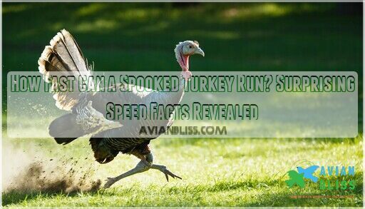 How Fast Can a Spooked Turkey Run? Surprising Speed Facts Revealed