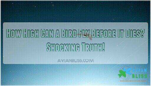 How High Can a Bird Fly Before It Dies? Shocking Truth!