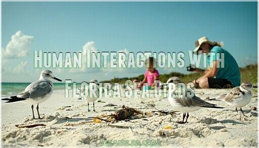 Shore Birds in Florida: Complete ID Guide With Photos & Tips