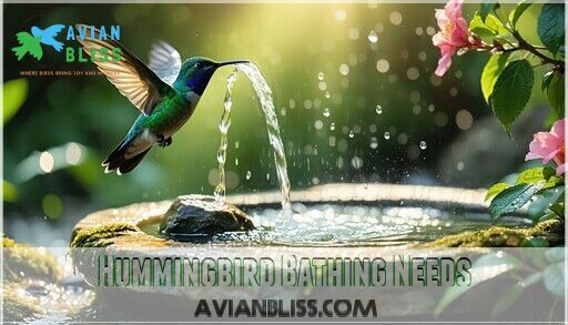 Hummingbird Bird Bath Design: Create The Perfect Backyard Oasis