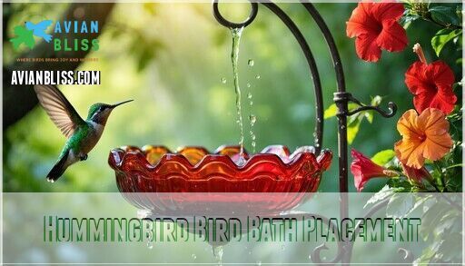 Hummingbird Bird Bath Design: Create The Perfect Backyard Oasis