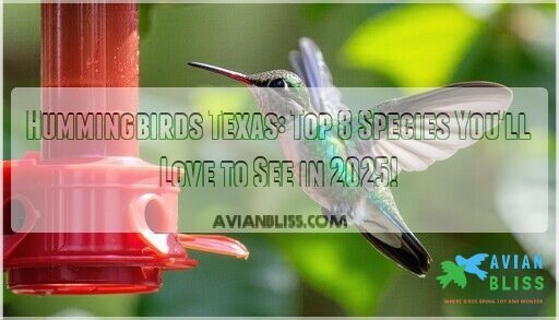 Hummingbirds Texas: Top 8 Species You'll Love to See in 2025!