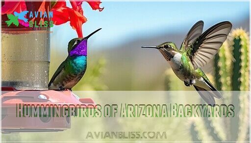 Backyard Birds of Arizona: 25+ Species Guide With Photos & Tips