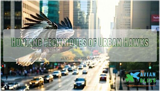 What Do Hawks Eat in The City? Urban Prey & Hunting Secrets!