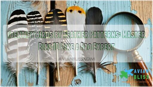 Identify Birds by Feather Patterns: Master Bird ID Like a Pro Expert