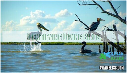 Diving Birds in Florida: 8 Amazing Species You'll Want to Spot (2025)