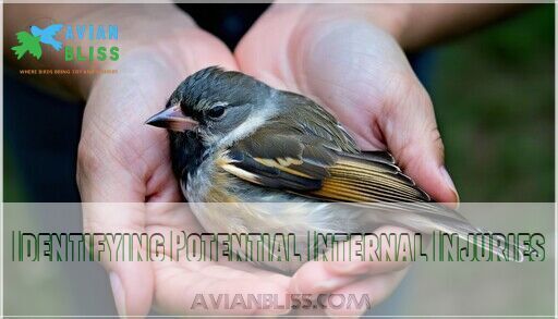 Avian Broken Wing Treatment: Emergency Care Steps That Save Lives