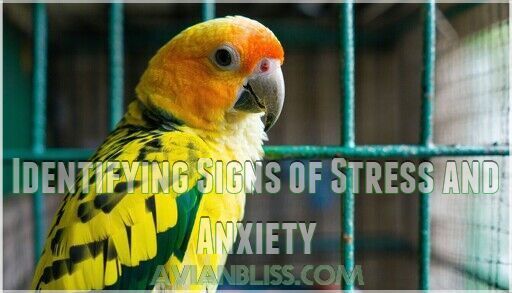 Common Bird Behavior Problems: Simple Solutions That Actually Work