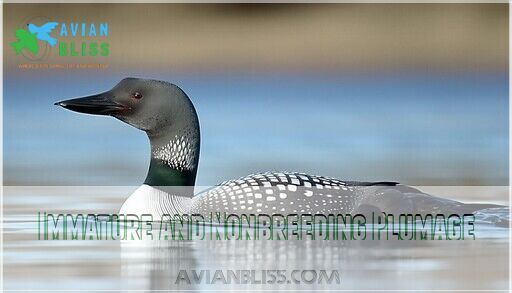 Pacific Loon: Complete Guide to ID, Habitat, Behavior & Conservation