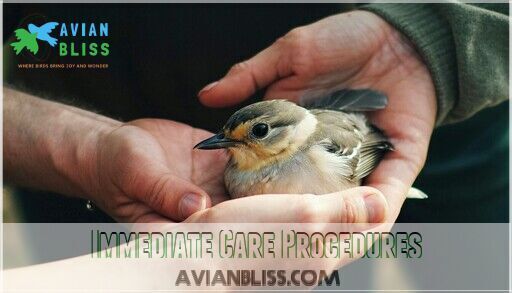 Broken Bird Wing Emergency Care: Key Steps to Help Injured Birds