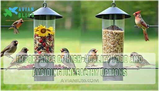 Can Birds Eat Chicken Feed? Safe Feeding Guide for Wild Birds (2025)