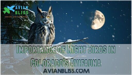 Night Birds in Colorado: Nocturnal Species Revealed