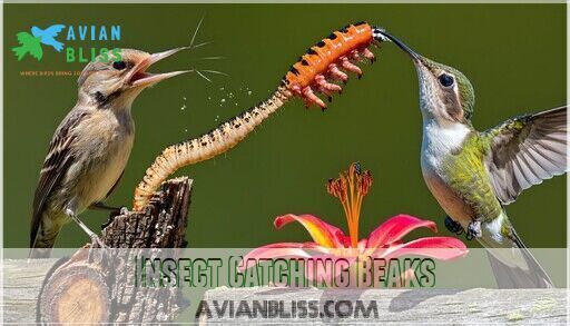 Different Bird Beak Shapes: How Form Follows Function in Nature