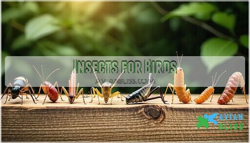 Good Protein Sources for Birds: Complete Nutrition Guide 2025