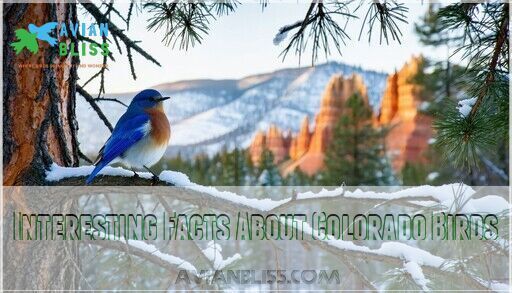 Backyard Birds of Colorado: 25+ Species You'll See in Your Yard
