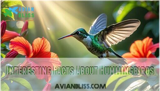 Interesting Facts About Hummingbirds: 10 Mind-Blowing Secrets Revealed!